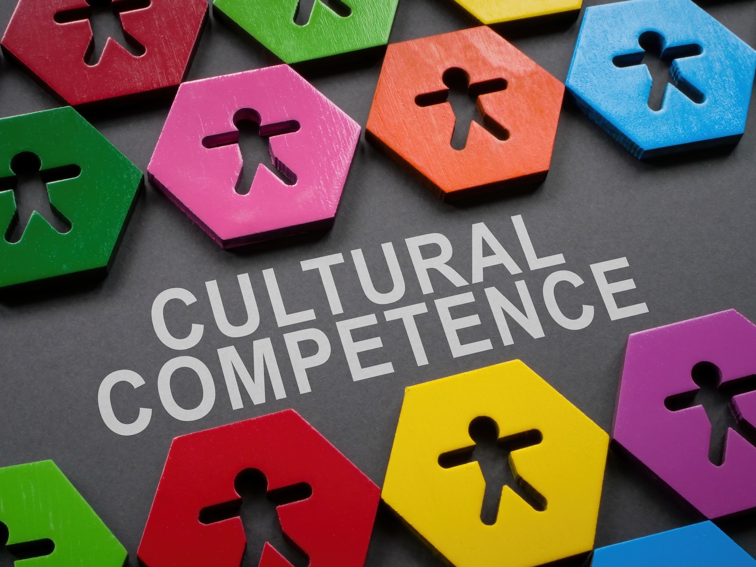 What is Cultural Competency in Behavioral Healthcare Education ...